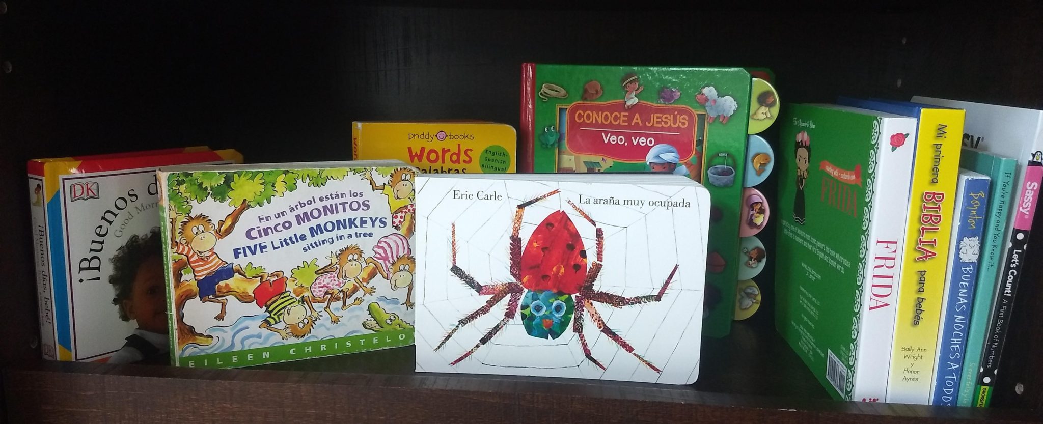 80+ of the Best Bilingual & Spanish Board Books for Babies - The ...